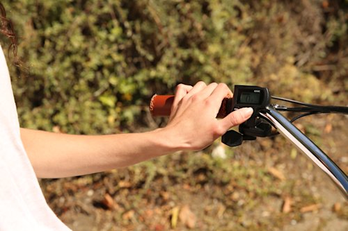 Exploring Different Monitors: A Comprehensive Guide to Display Varieties