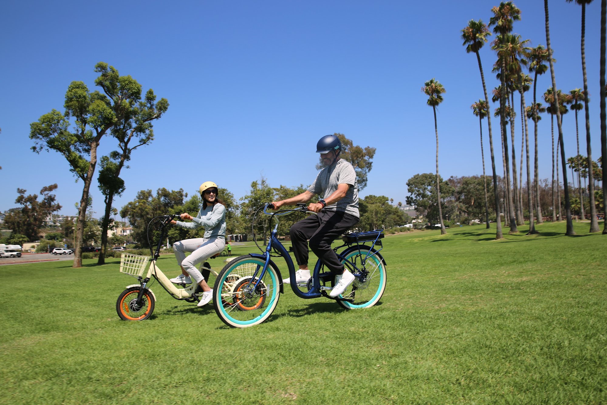 Essential Lessons for Kids: What Parents MUST Teach About Electric ...