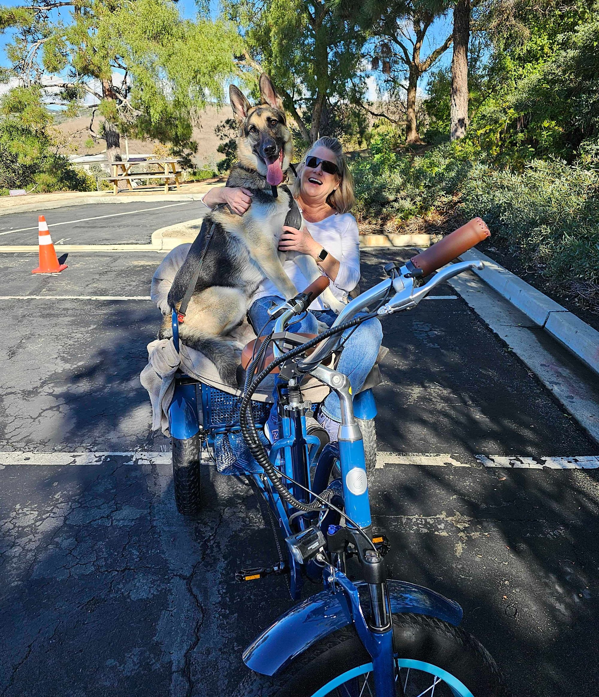 Dog's Reaction on EBike Rickshaw Ride: Hilarious Canine Journey!