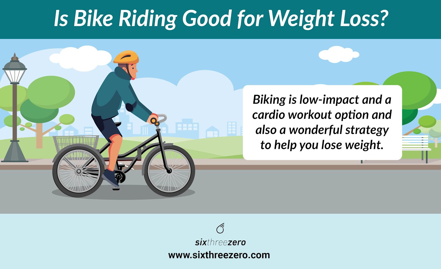 Best Tricycles for Plus Sized Riders | Top Adult Tricycles best for ...