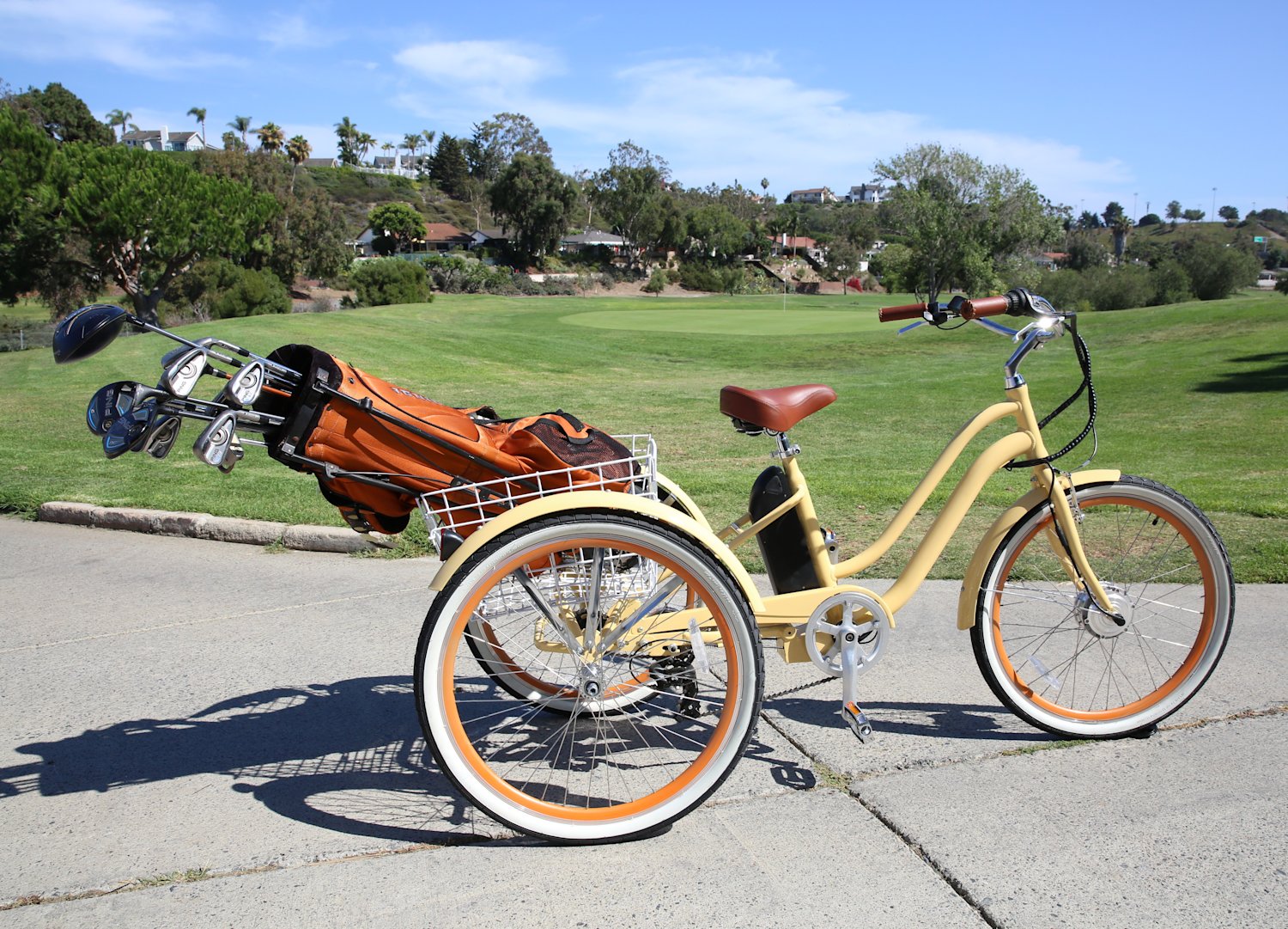 How to Bring Your Dog on a Tricycle Ride - Electric Bike Adventures ...