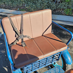 Revolutionizing Family Transport: 3 Wheel Electric Rickshaw Bike for 3 ...