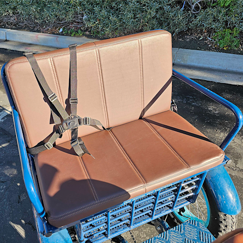 Revolutionizing Family Transport: 3 Wheel Electric Rickshaw Bike for 3 Kids! An ETrike Adventure ...
