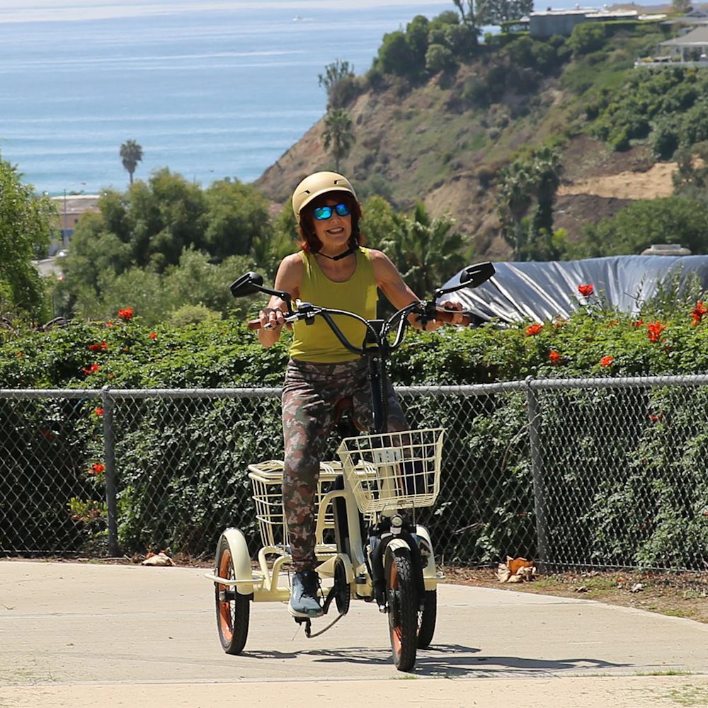 Mastering the Ride: The 8 Most Important Electric Bike Features ...