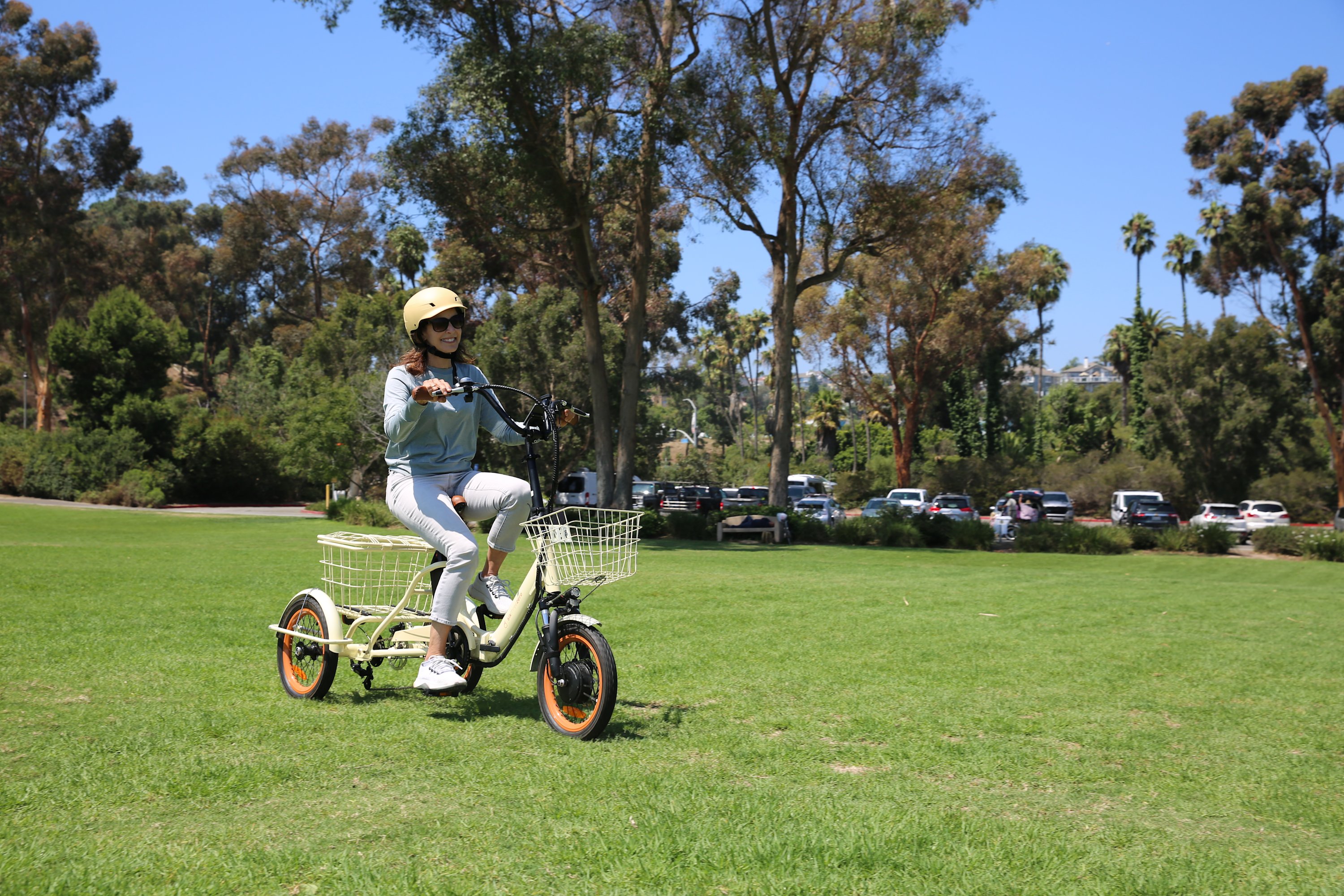 Top 3 Wheel EBikes: Unveiling the Most Stable Electric Tricycles for ...