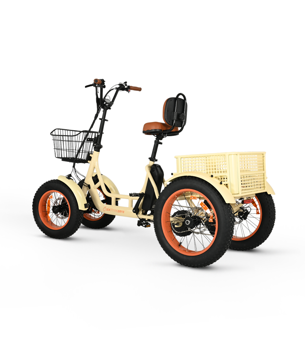 4-Wheel Passenger eBike | Powerful Quadricycle Ride!