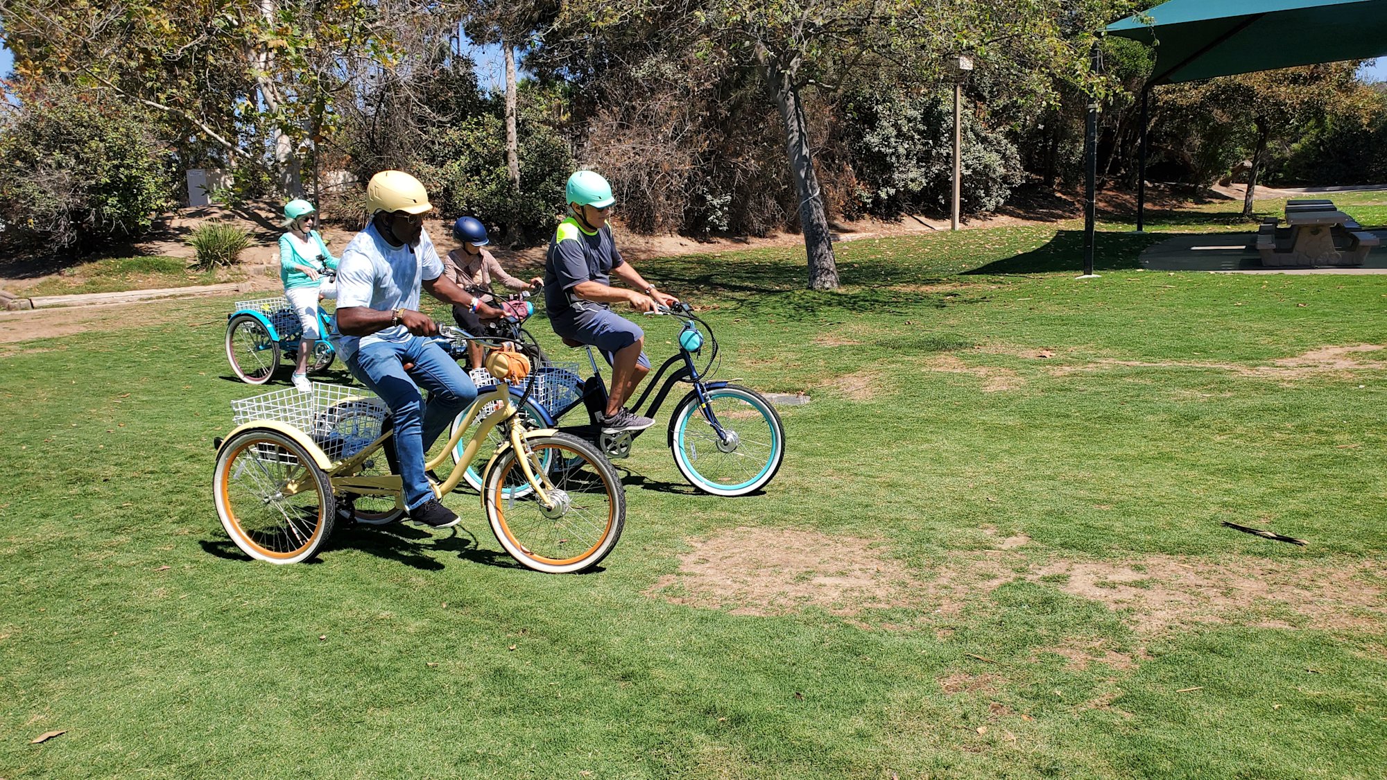 Expert's E-Trike Guide for Adults over 60 | Choose the Perfect Electric ...