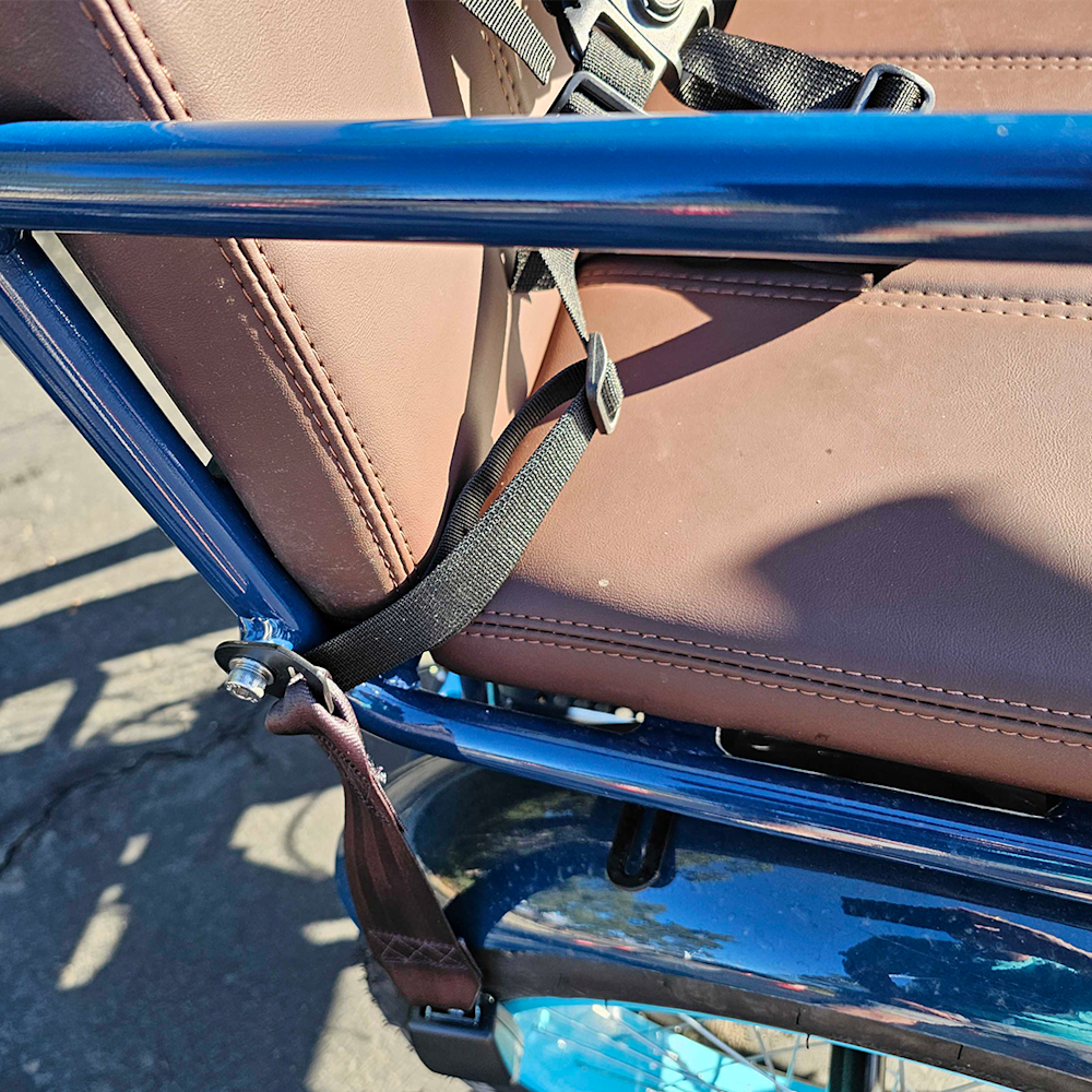 Revolutionizing Family Transport: 3 Wheel Electric Rickshaw Bike for 3 Kids! An ETrike Adventure ...