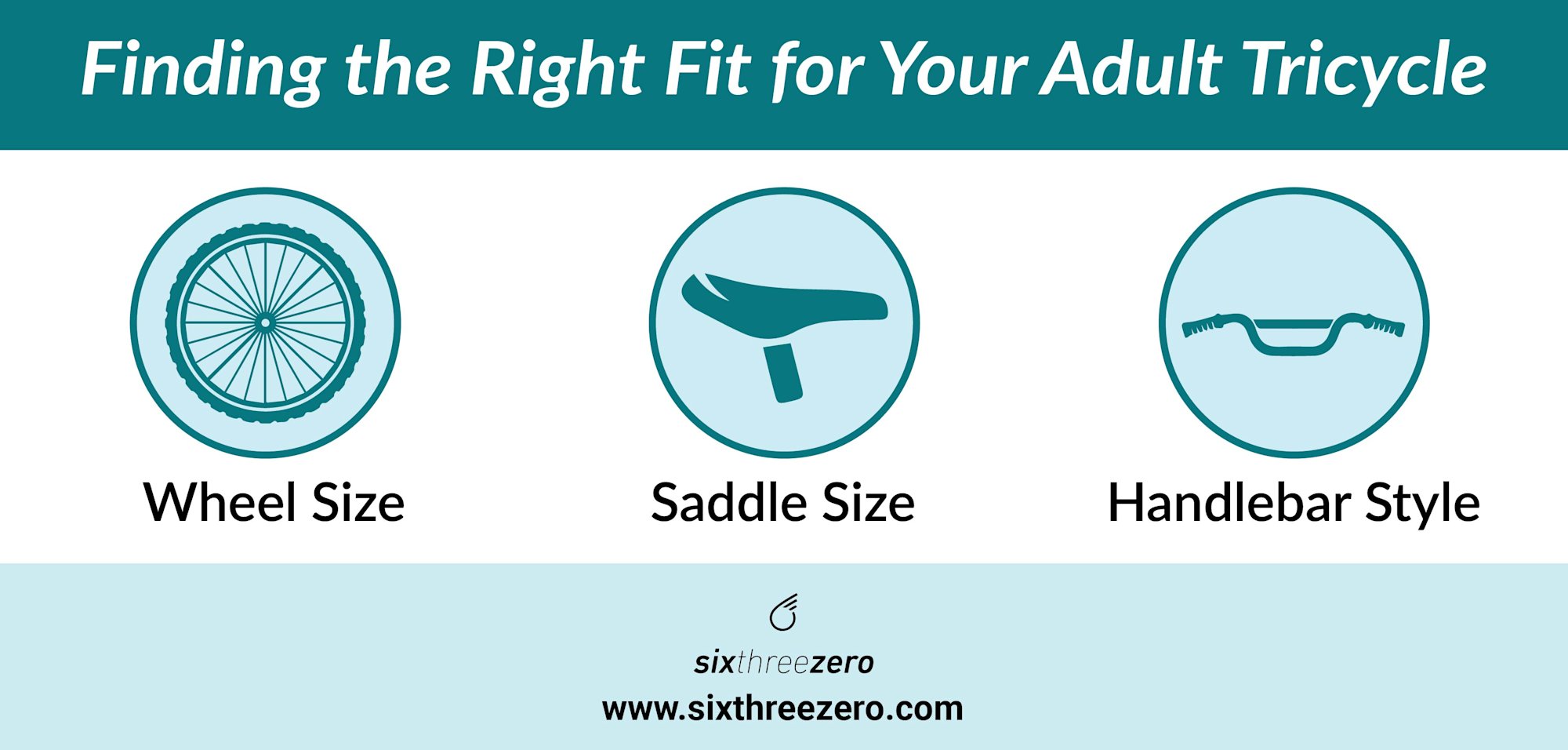 Best Tricycles for Plus Sized Riders | Top Adult Tricycles best for ...