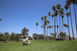 Top Electric Trikes of 2024: Folding, Passenger-Carrying, and Cruising ...
