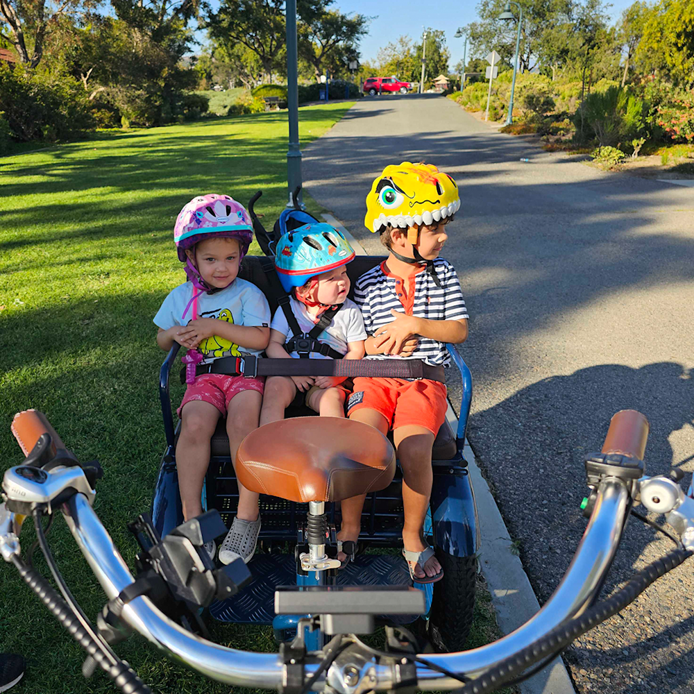 Mastering the Ride: The 8 Most Important Electric Bike Features ...