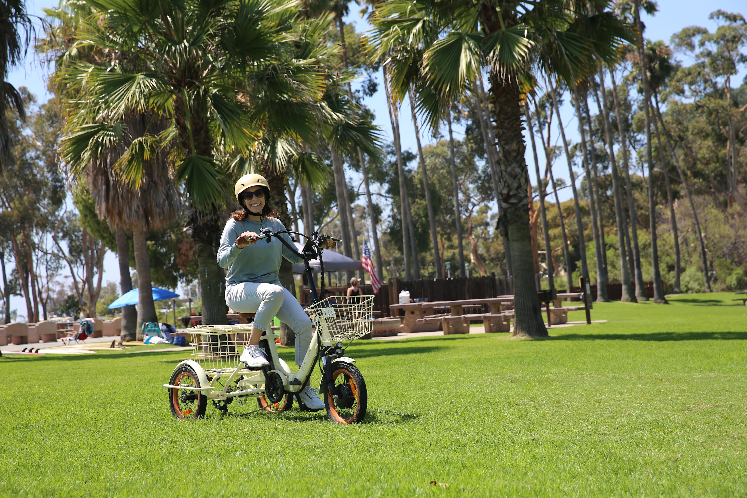 Two Wheels vs. Three: Navigating the Differences Between Steering a ...