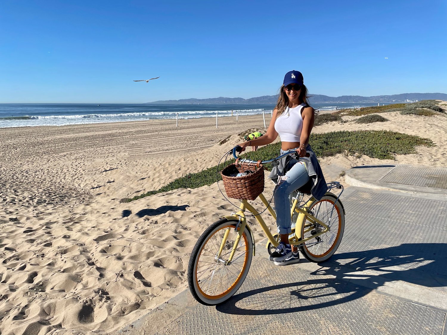 Everything You Need to Know About a 7-Speed Bike | Bicycle 7-Speed Info ...