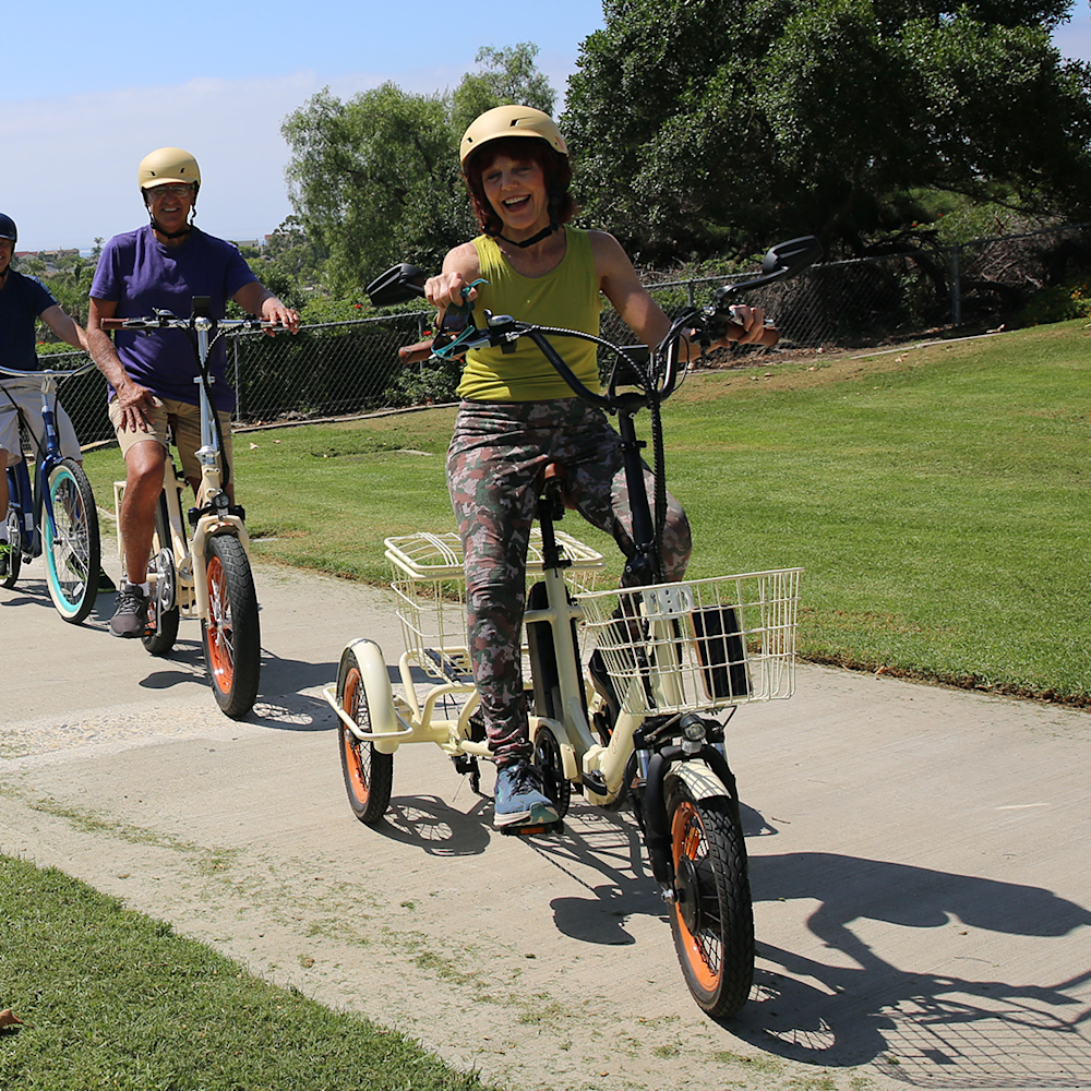 Riding into the Future: Electric Bike Prices in 2024 Unveiled! What to ...