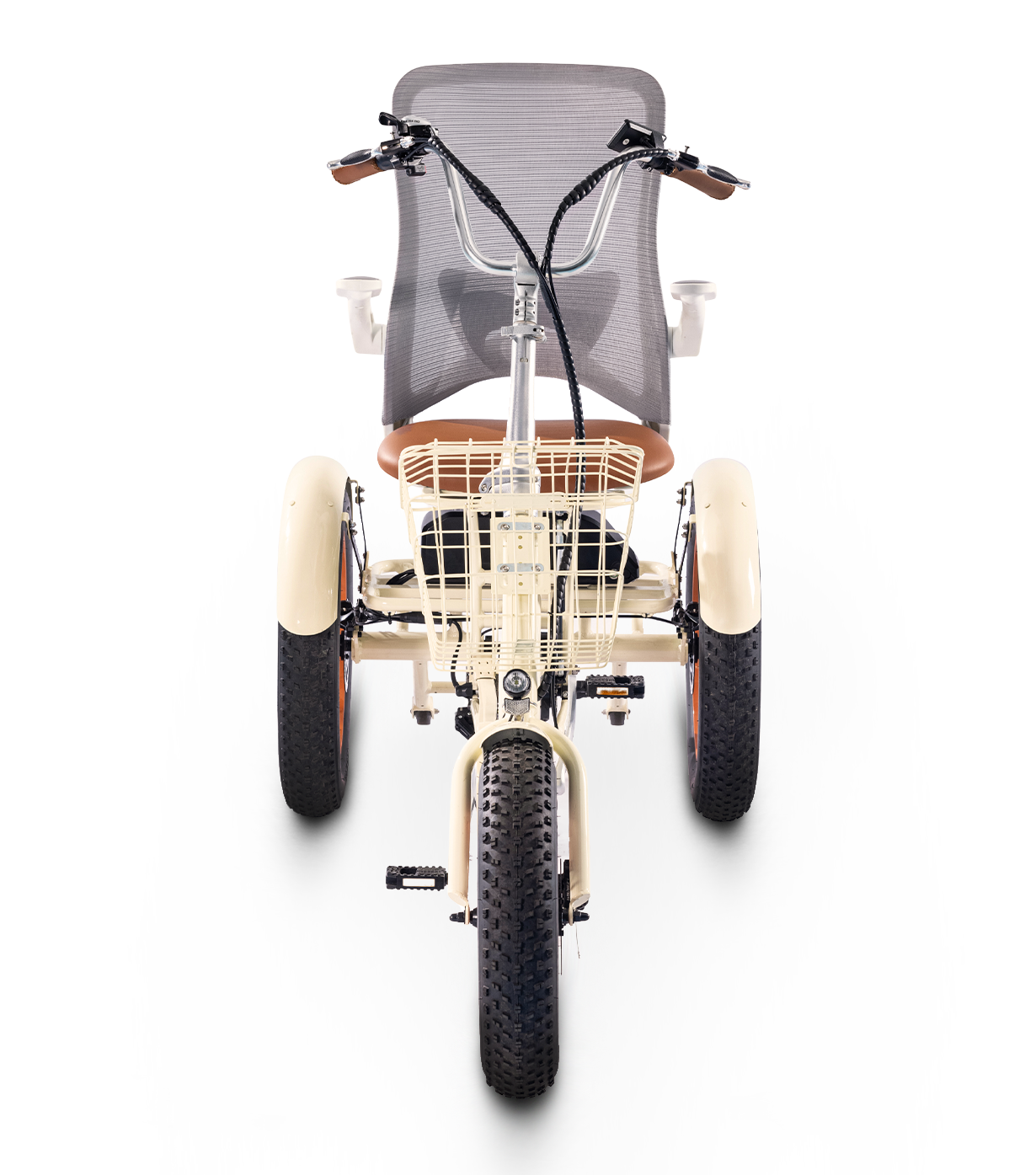 Simplest Electric Trike Controls for Seniors