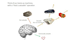 Intrinsic Values Effective Altruism
