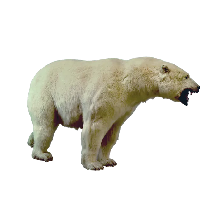 Angry music download - Royalty-free | Epidemic Sound