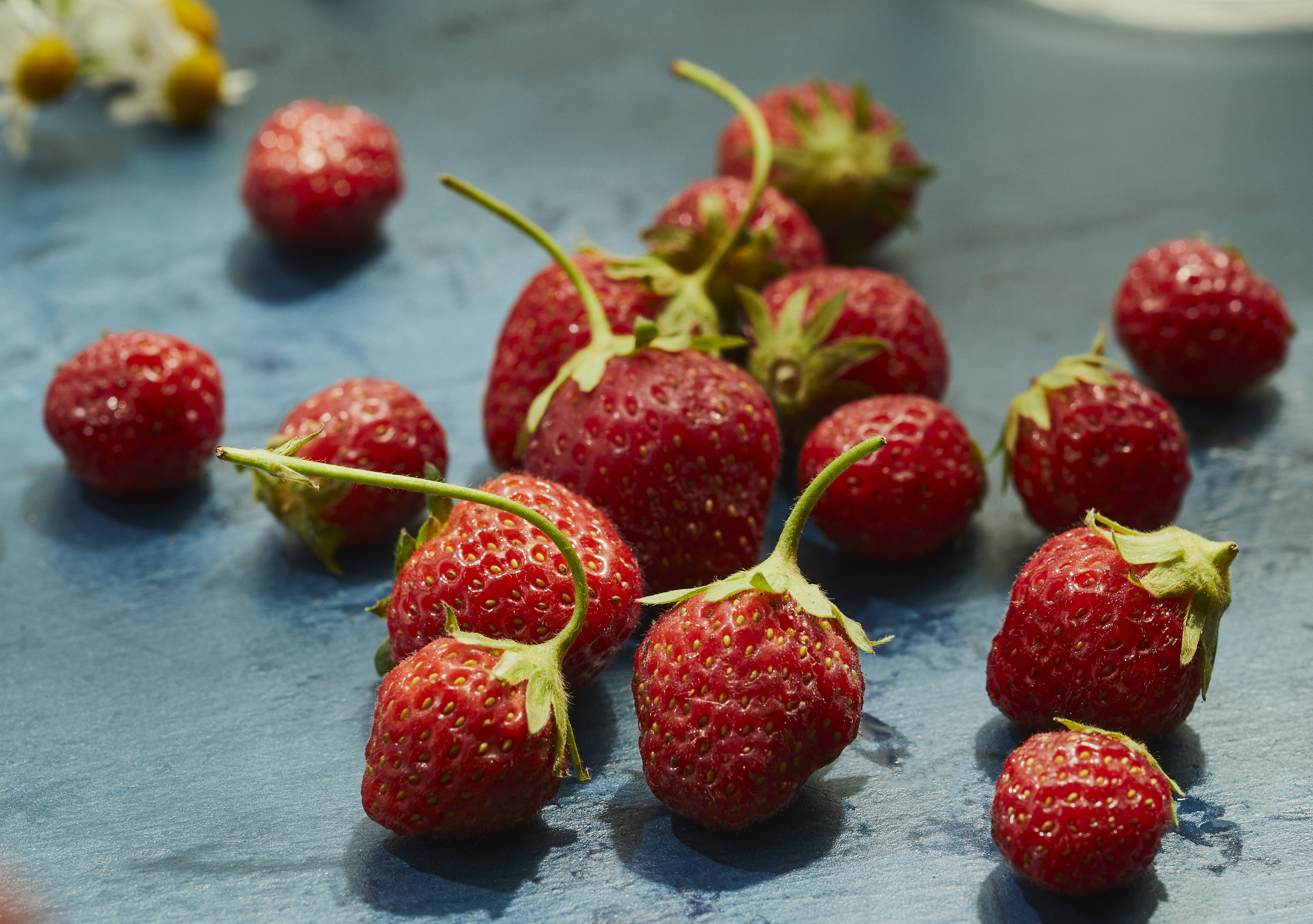 Eleven Madison Home | Eleven Madison Home