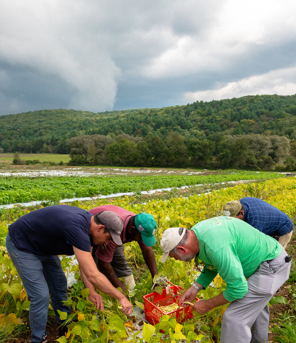 The Secrets of The Soil: How Norwich Meadows Farm Became NY's Most ...