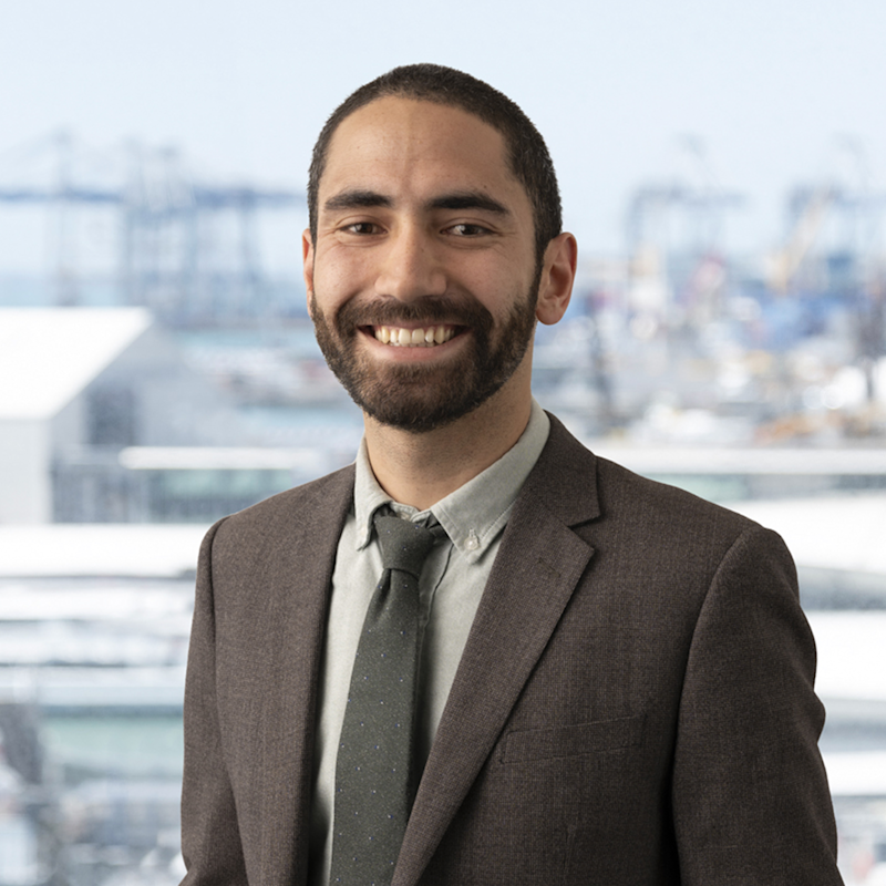 Solutions Insights - June - NZ's sectors