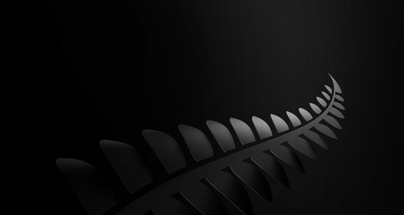 Our Leadership team | NZTE