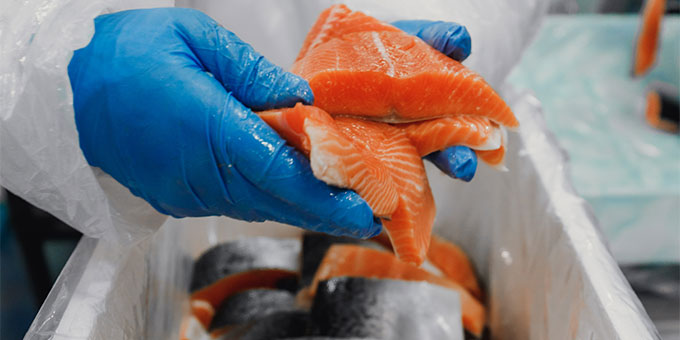 A business case for Open Ocean Finfish aquaculture