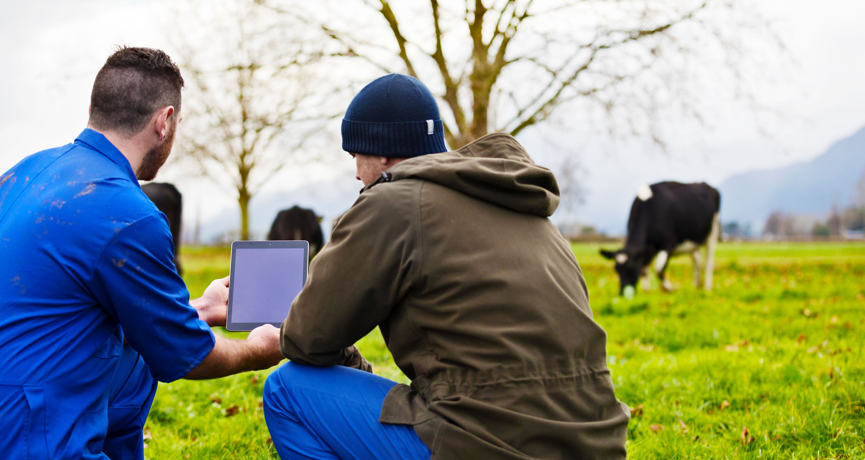 Lessons from New Zealand Agriculture | NZTE