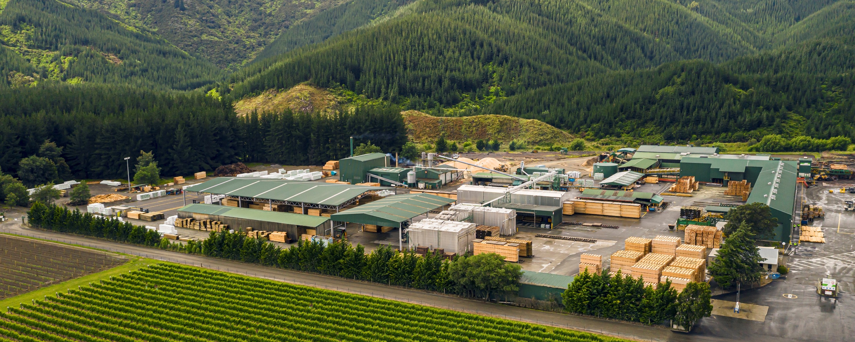 Investment helps grow New Zealand’s wood processing sector