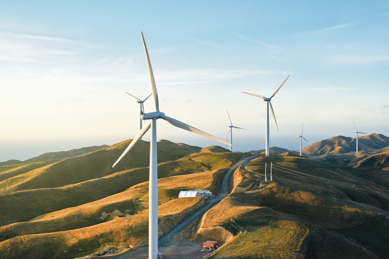 Do Good, Do Well: the companies that show the mahi