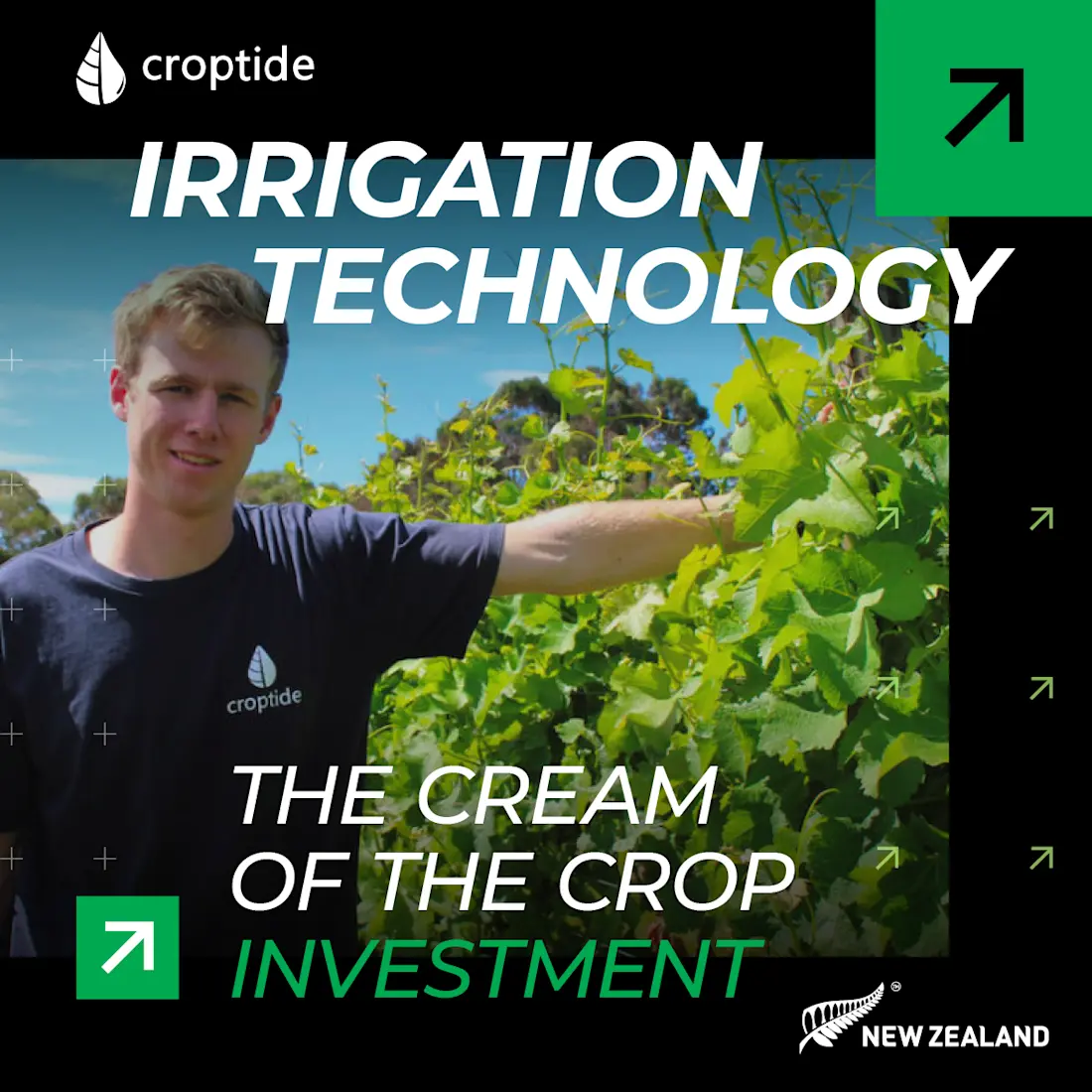 Croptide - cream of the crop investment