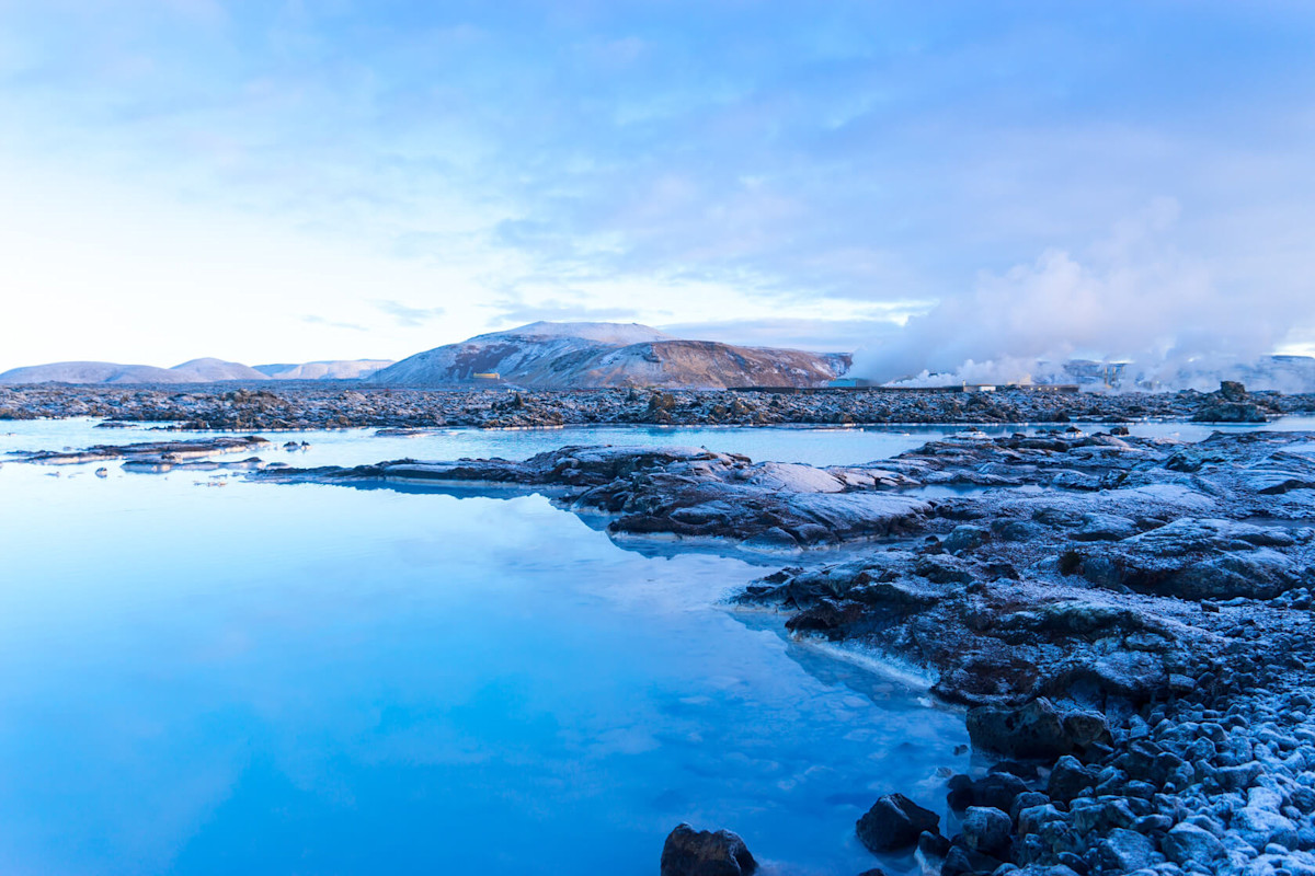 What to Know About Hakarl - Iceland's Fermented Shark Delicacy ...