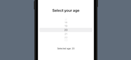 SwiftUI Picker SwiftUI Handbook Design Code