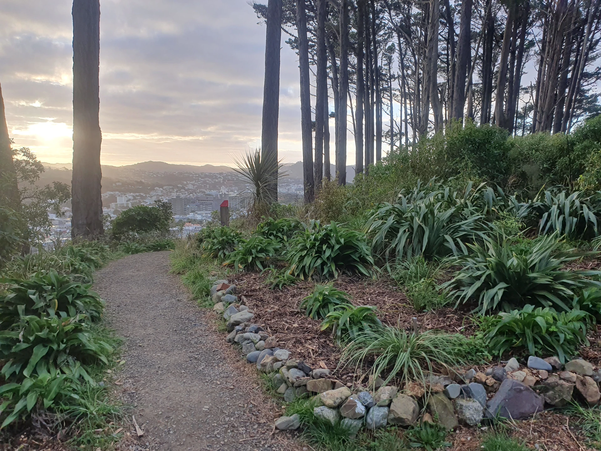 'The History of Newtown's Green Belt' walking tour | Wellington ...