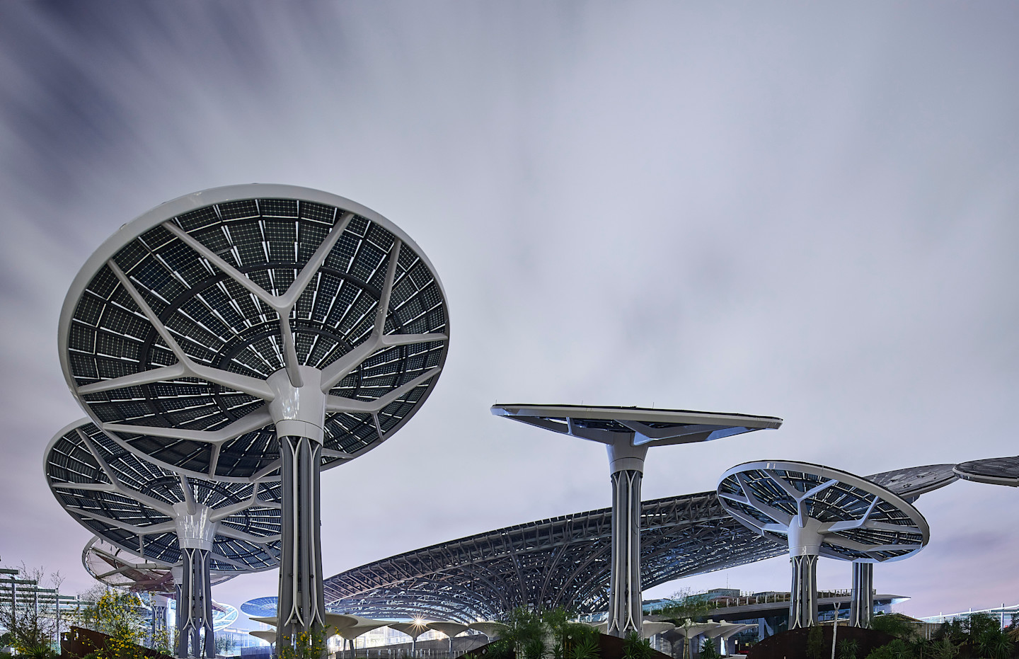 Energy Trees | World Expo