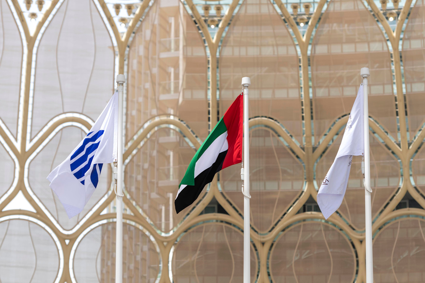 Sobre nosotros | Escuela de Negocios ESAM