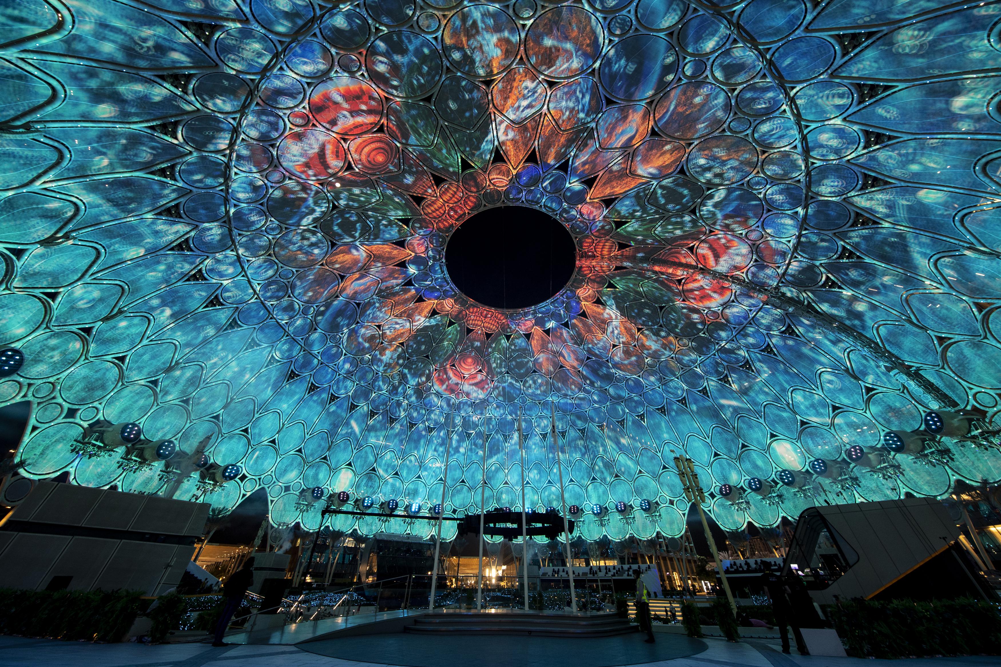 Fireflies | World Expo