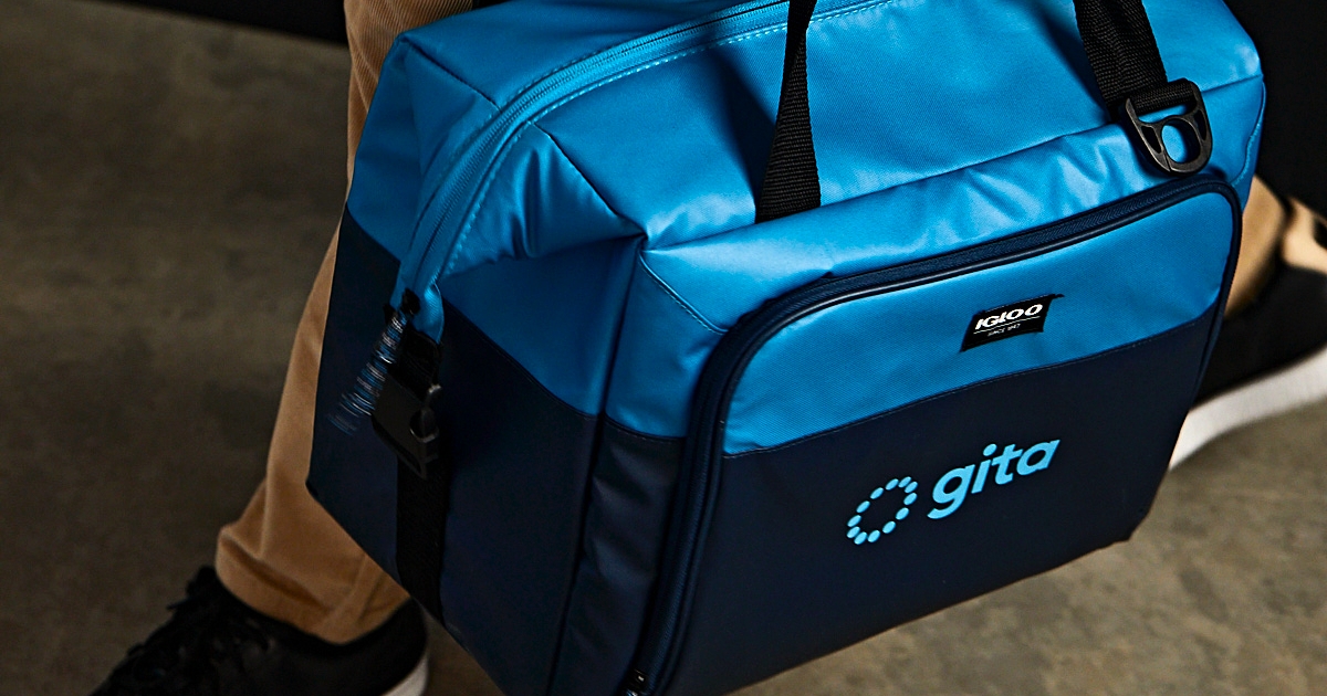 The ultimate dad bot - Piaggio Fast Forward