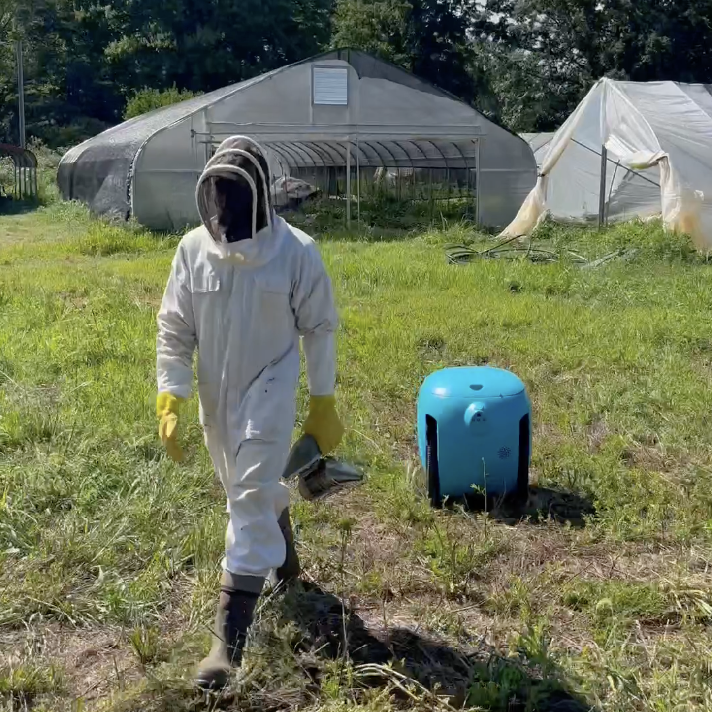 gita - Piaggio Fast Forward