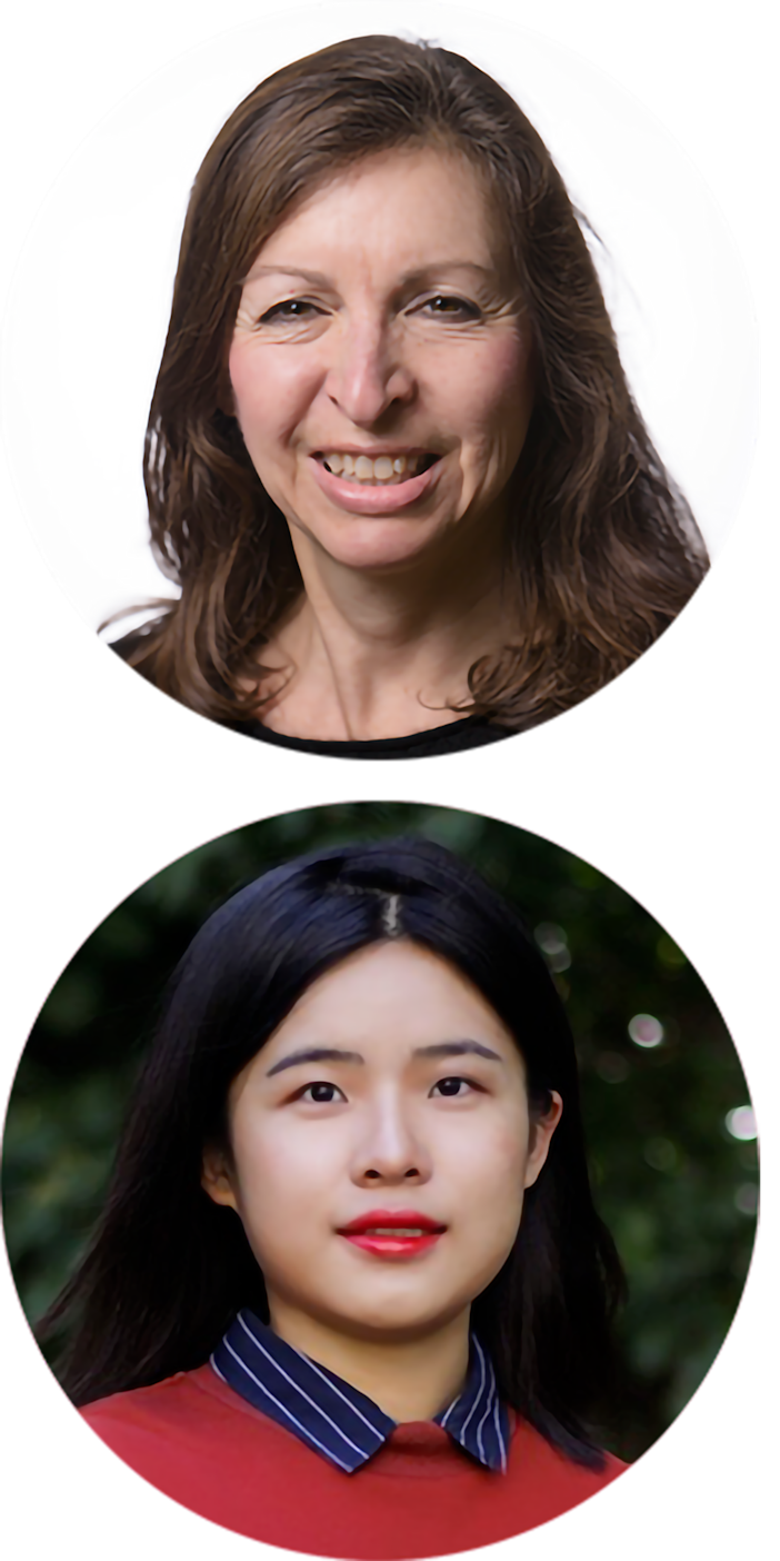 Research seminars: Teaching programming (with or without AI)