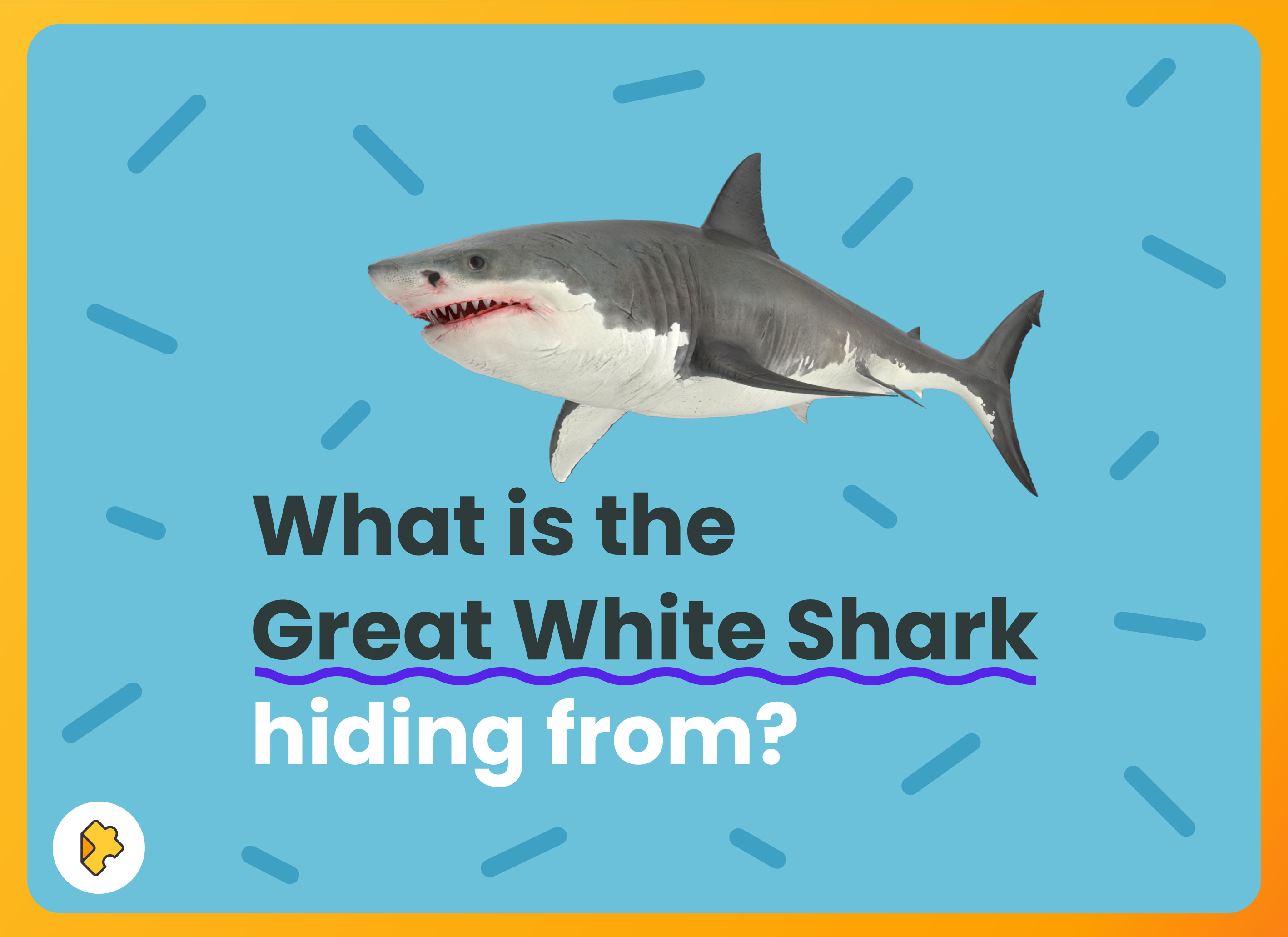 Edpuzzle Original Video Lessons for Shark Week! | Edpuzzle Blog