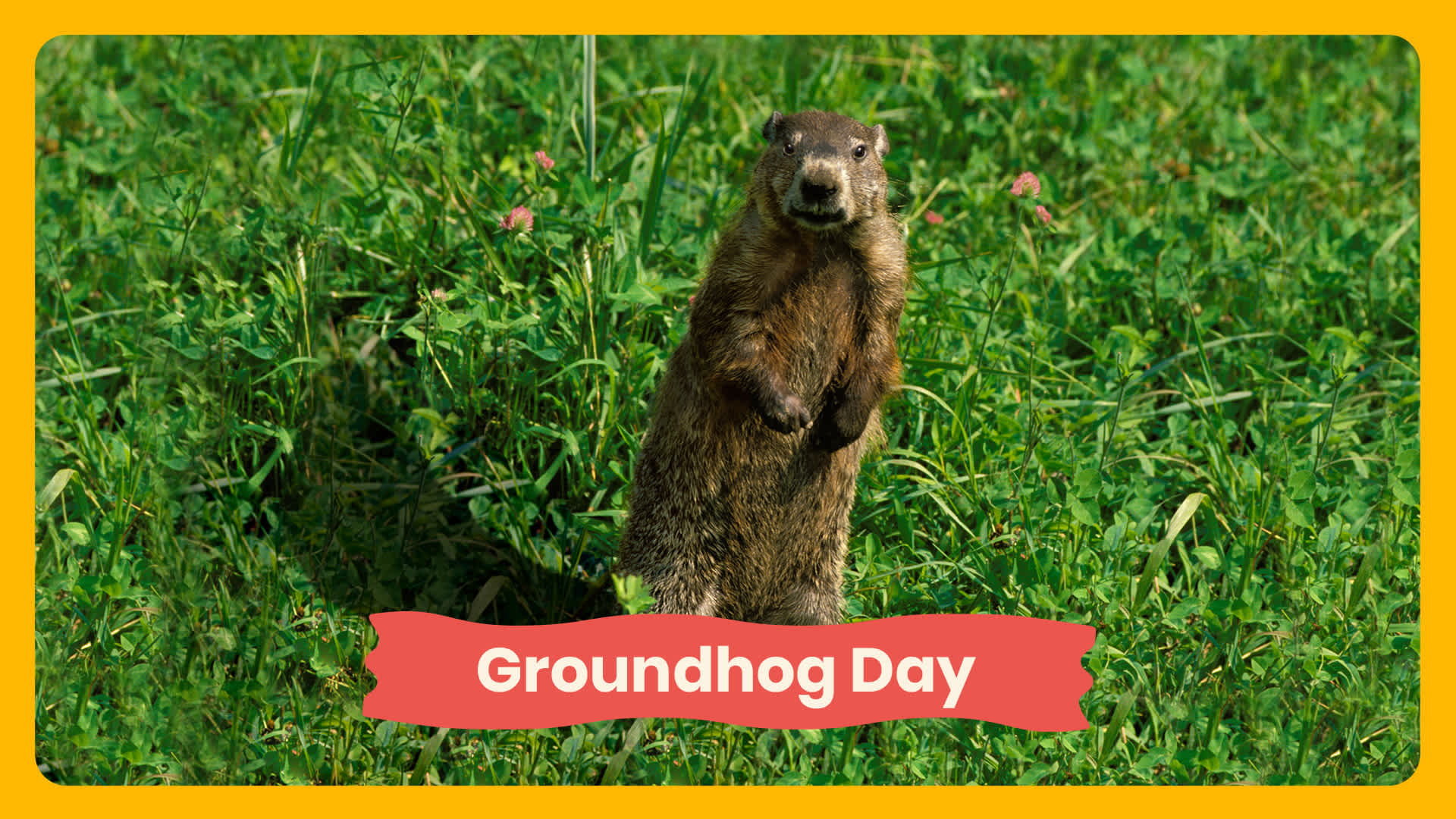 Groundhog Day Video Lessons | Edpuzzle Blog