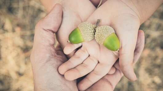 Acorns App Review - An App to Build Savings | Bills.com