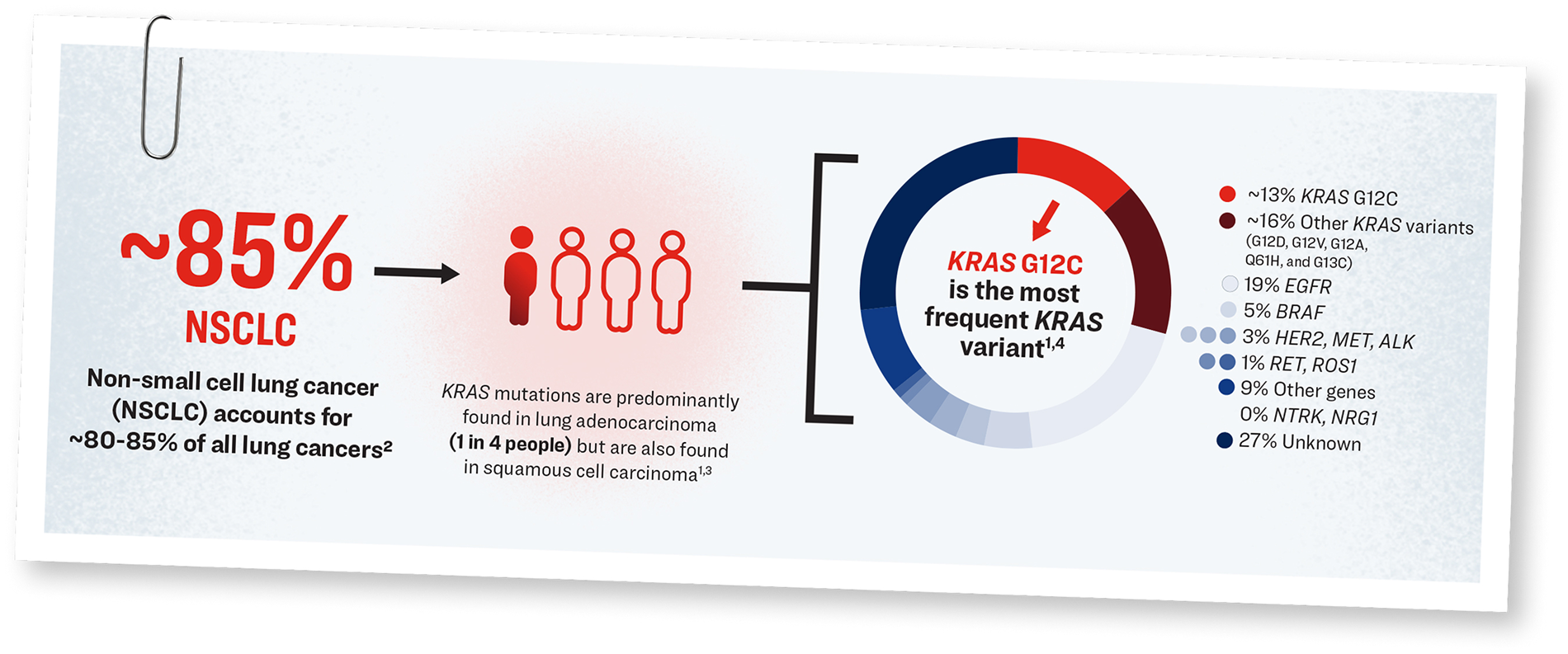KRAS G12C NSCLC is Unique