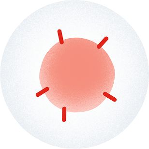KRAS G12C NSCLC is Unique
