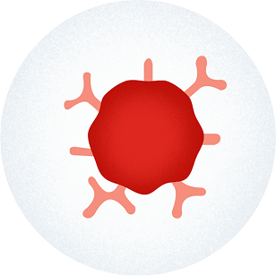 KRAS G12C NSCLC is Unique