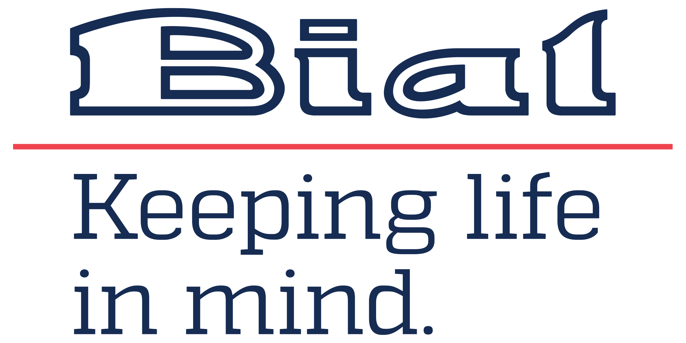 Our Company