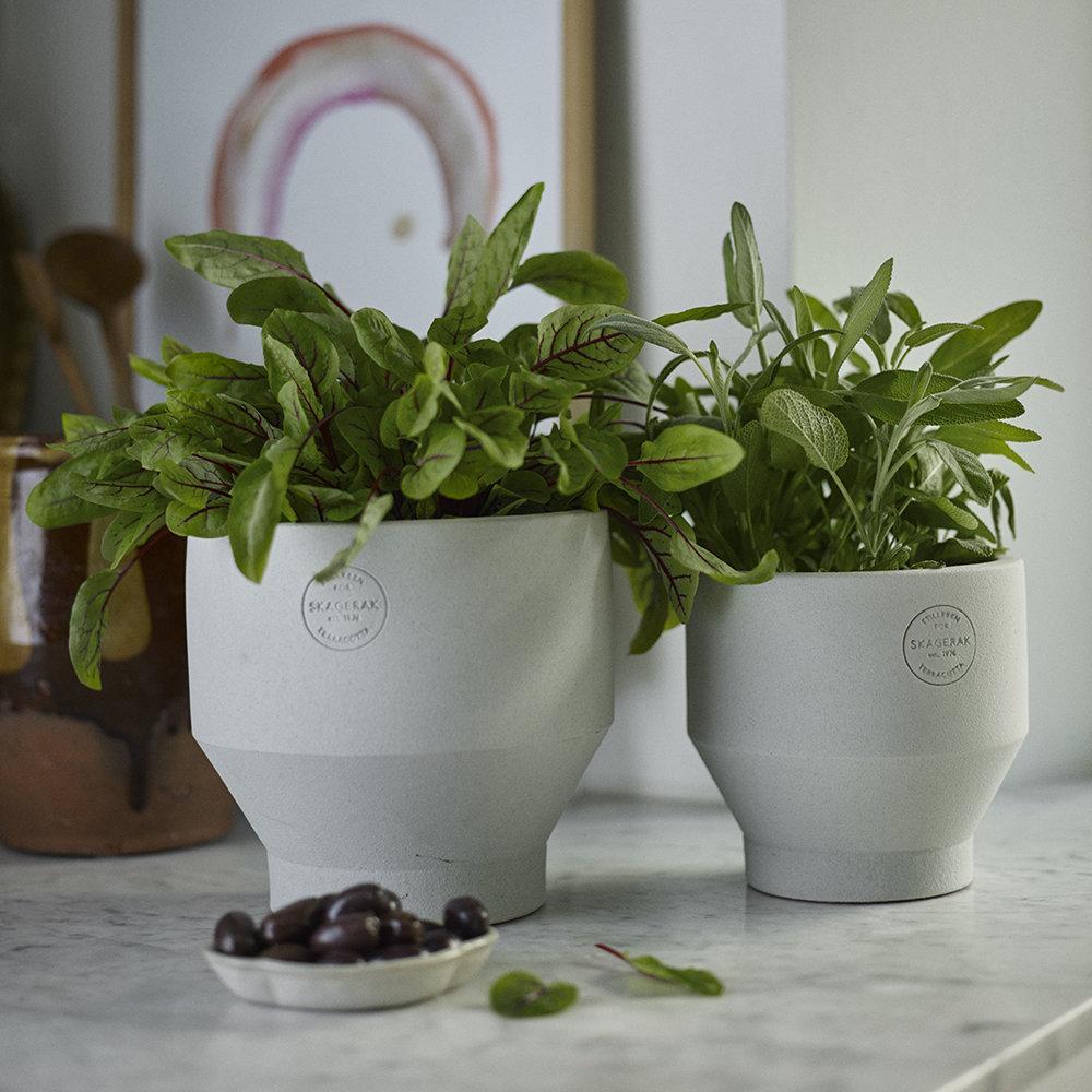 Where Design meets Purpose | Goodee