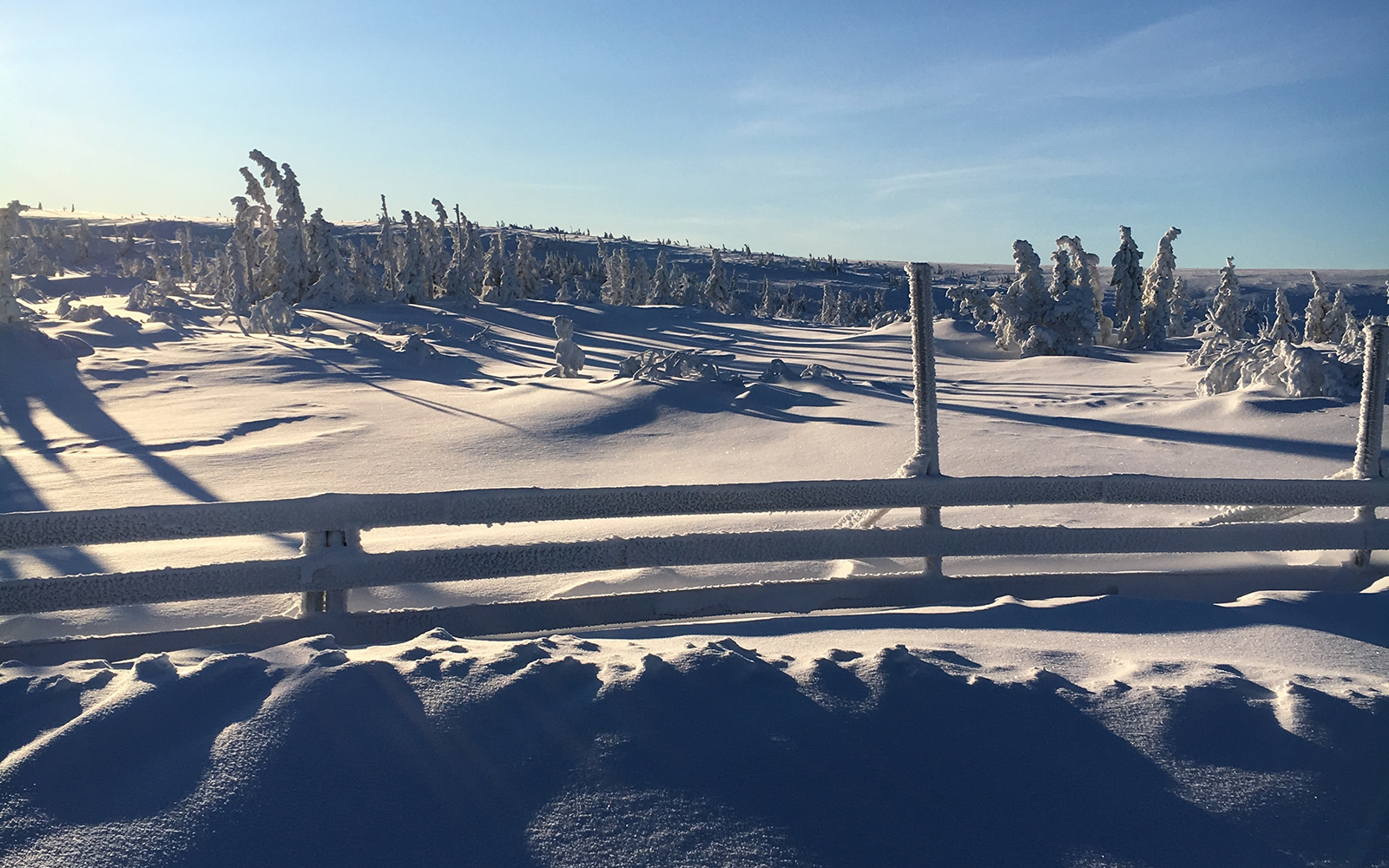 Affordable Flights to Sälen | Convenient Departures | SAS