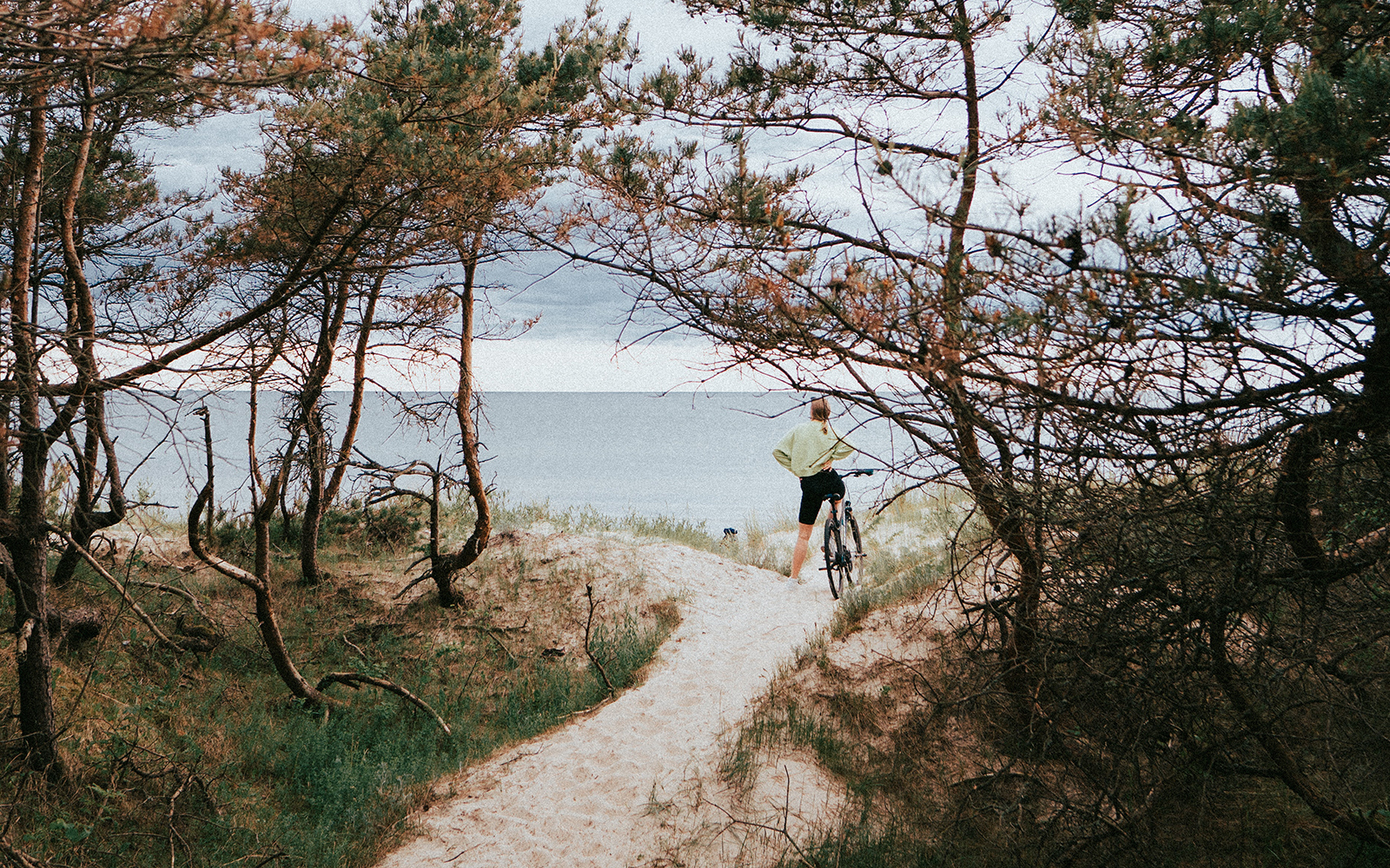 Affordable Flights to Lithuania | Convenient Departures | SAS