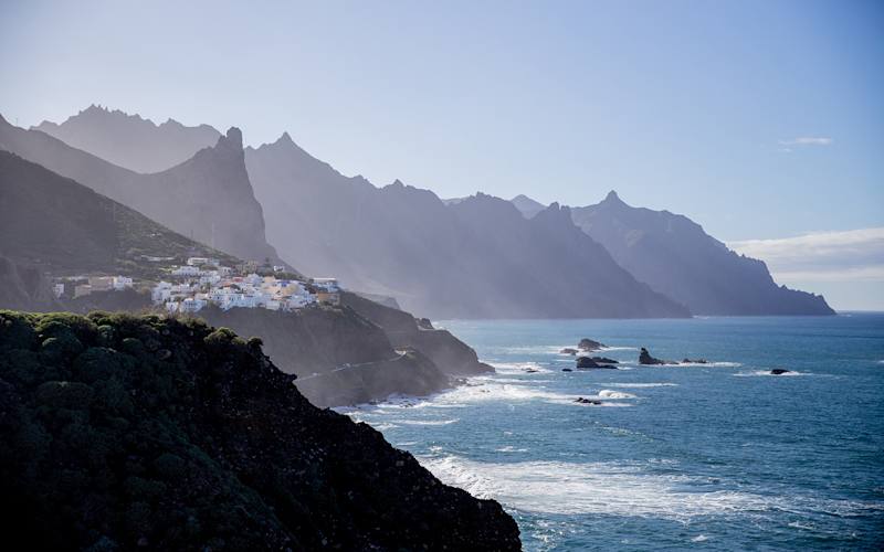 Flights From Frankfurt to Tenerife – Book Your Ticket Easily Today | SAS